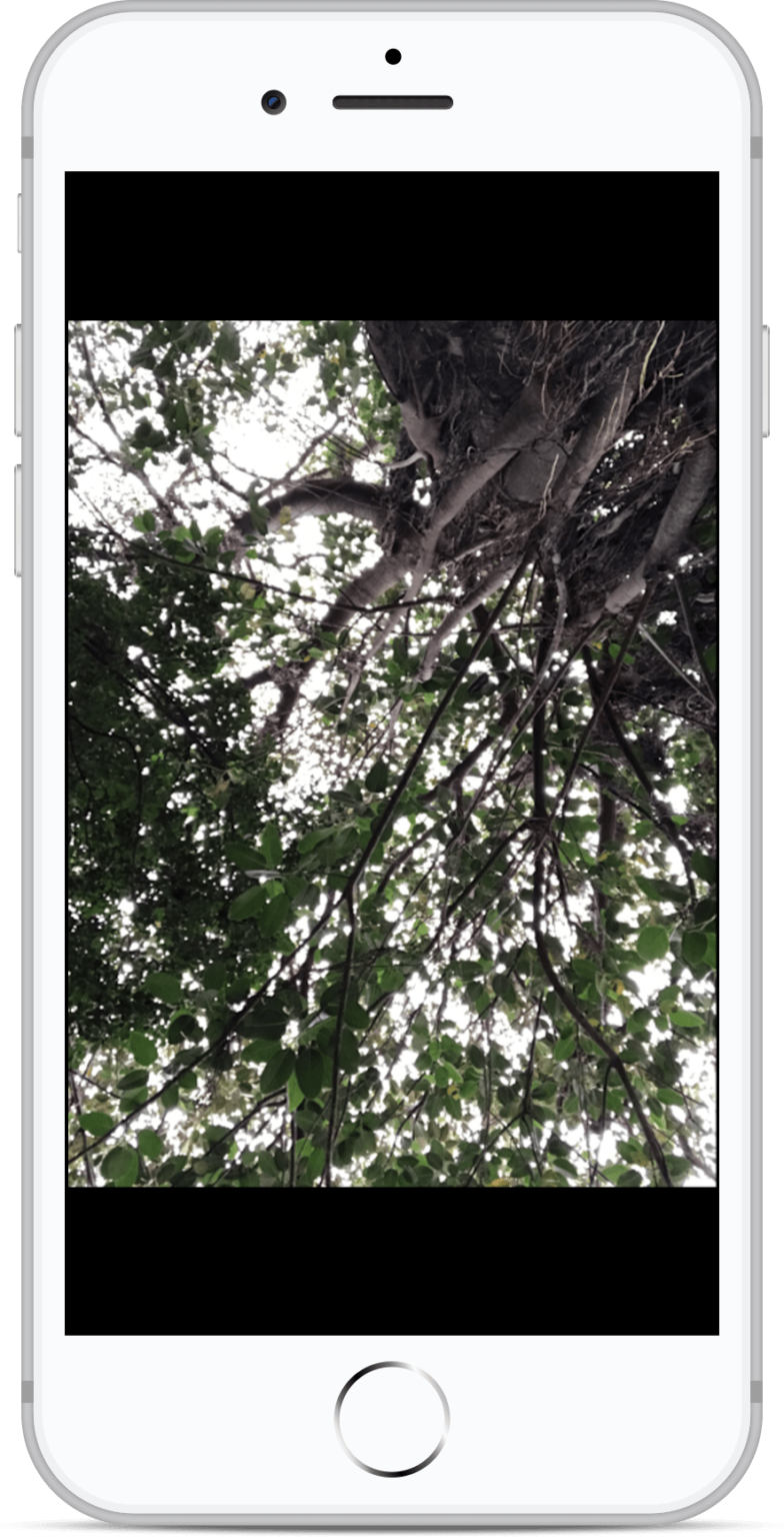 Percentage Cover – Ecological Survey App